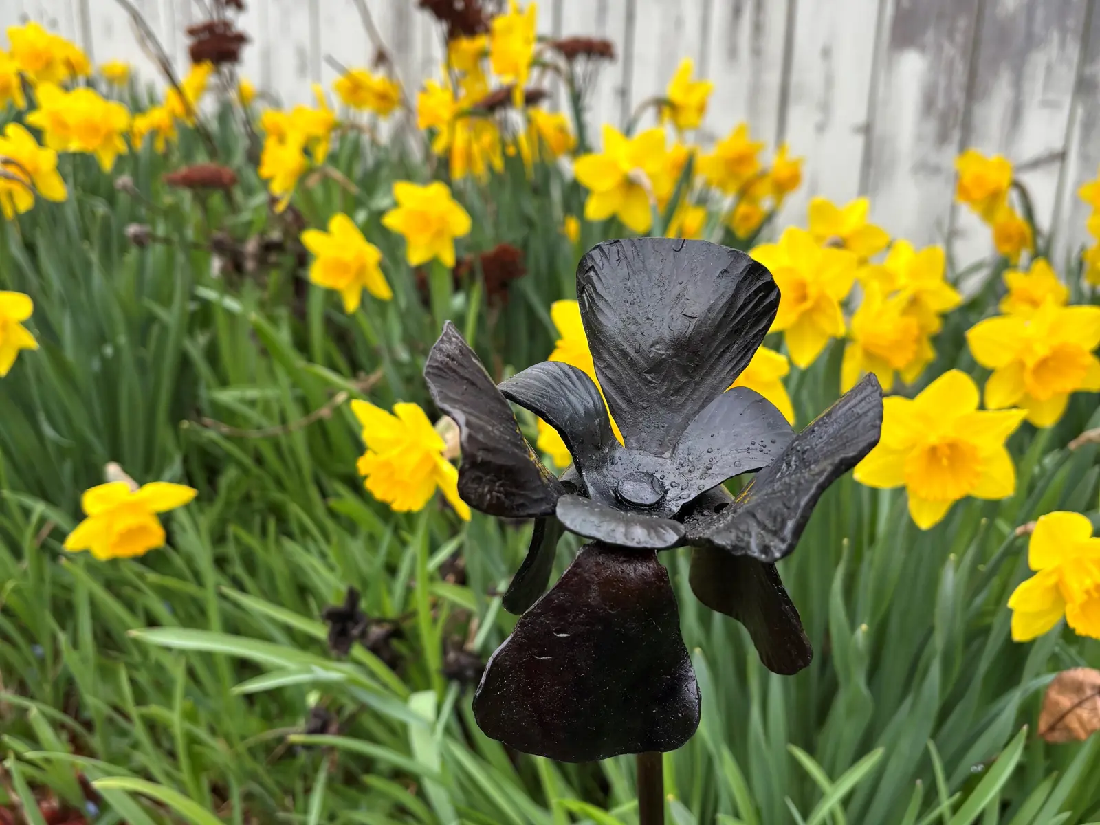 Programs & Events | Pickering Museum Village